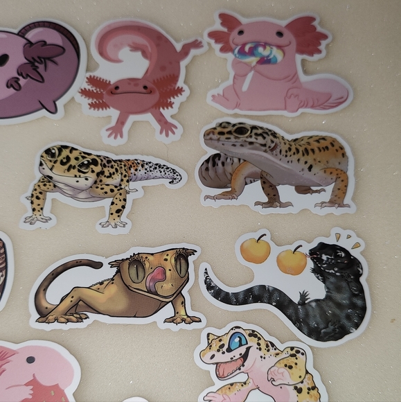 Office | Set Of 23 Cute Axolotl Salamander Stickers | Poshmark